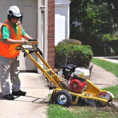 Rayco RG13 Mk2 Petrol Stump Grinder - DHS